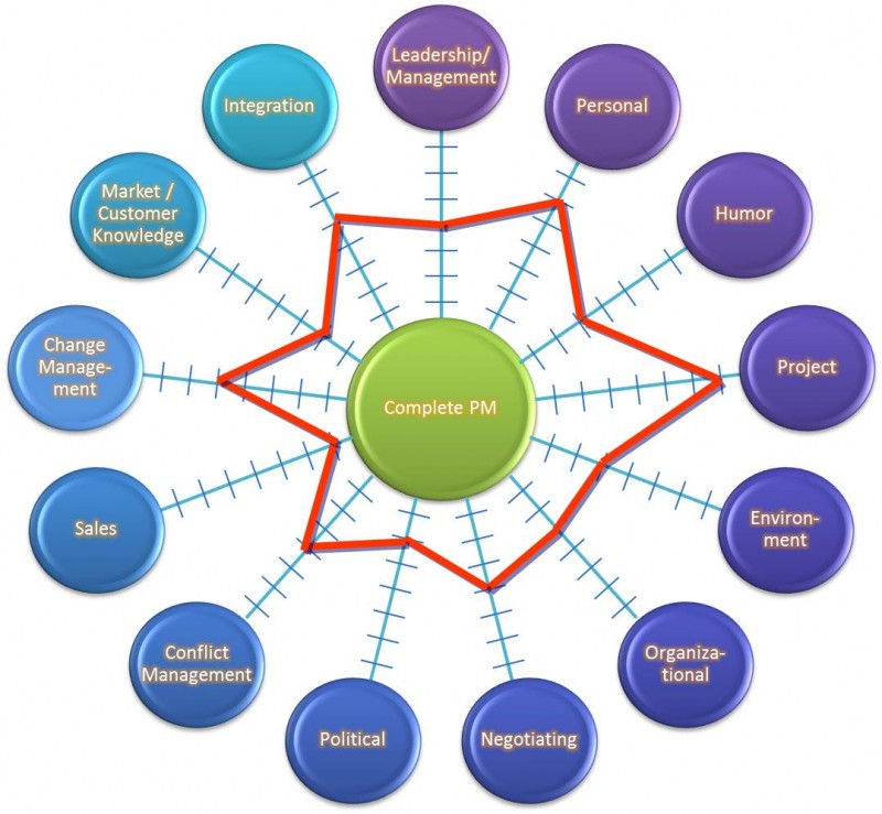 Spider Diagram Silicon Valley Project Management